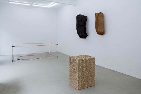 Exhibition : Daniel Roth Meyer Riegger | Daily Art Fair