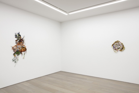 Exhibition : Sophia Narrett Perrotin | Daily Art Fair