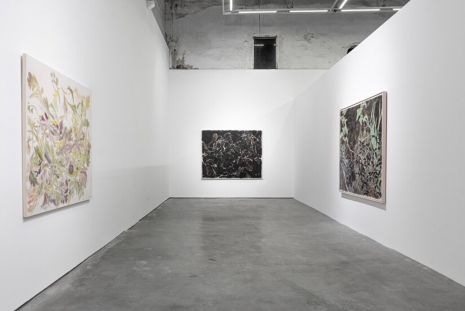 Exhibition : Wu Yiming Shanghart | Daily Art Fair