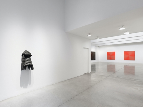 Exhibition : Analia Saban Tanya Bonakdar Gallery | Daily Art Fair