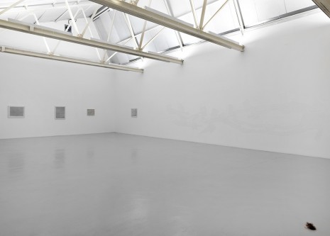 Exhibition : David Musgrave Greengrassi | Daily Art Fair