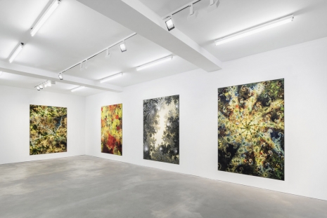 Exhibition : Thomas Ruff Spruth Magers | Daily Art Fair