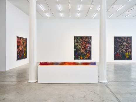 Exhibition : Joe Ray Bortolami Gallery | Daily Art Fair