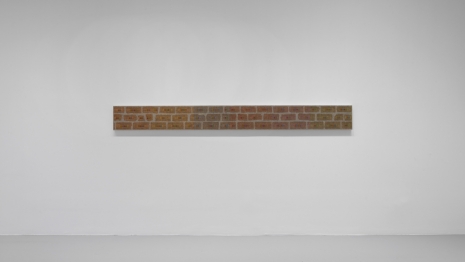 Exhibition : Julia Fish Rhona Hoffman Gallery | Daily Art Fair