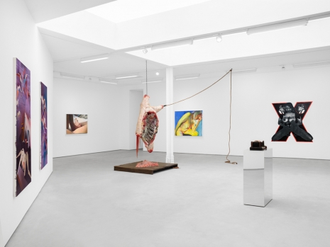 Exhibition : Darja Bajagic Monica Bonvicini Miriam Cahn Elaine Cameron ...