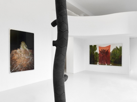 Exhibition : Julius Von Bismarck Sies Hoke Galerie | Daily Art Fair