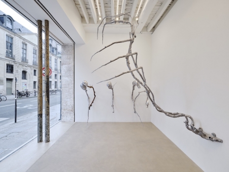 Exhibition : Giulia Cenci Massimodecarlo | Daily Art Fair