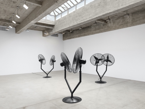 Exhibition : Sherrill Roland Tanya Bonakdar Gallery | Daily Art Fair
