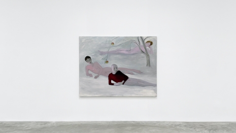 Exhibition : Xinyi Cheng Matthew Marks Gallery | Daily Art Fair