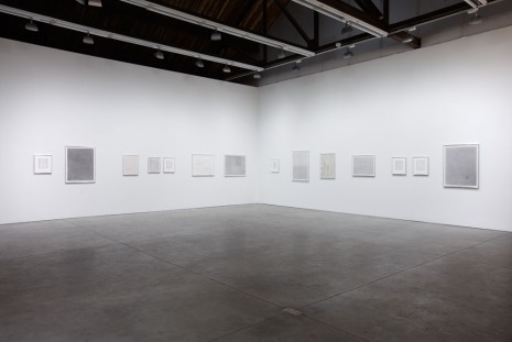 Exhibition : David Musgrave Luhring Augustine | Daily Art Fair