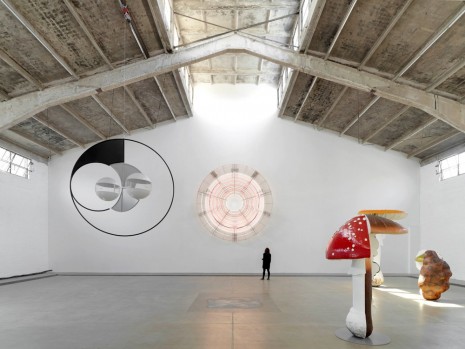 Exhibition : Carsten Holler Galleria Continua | Daily Art Fair