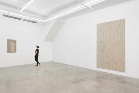 Exhibition : Helene Appel James Cohan Gallery | Daily Art Fair