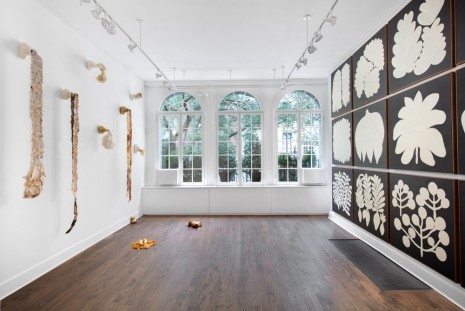 Exhibition : Solange Pessoa Mendes Wood Dm | Daily Art Fair